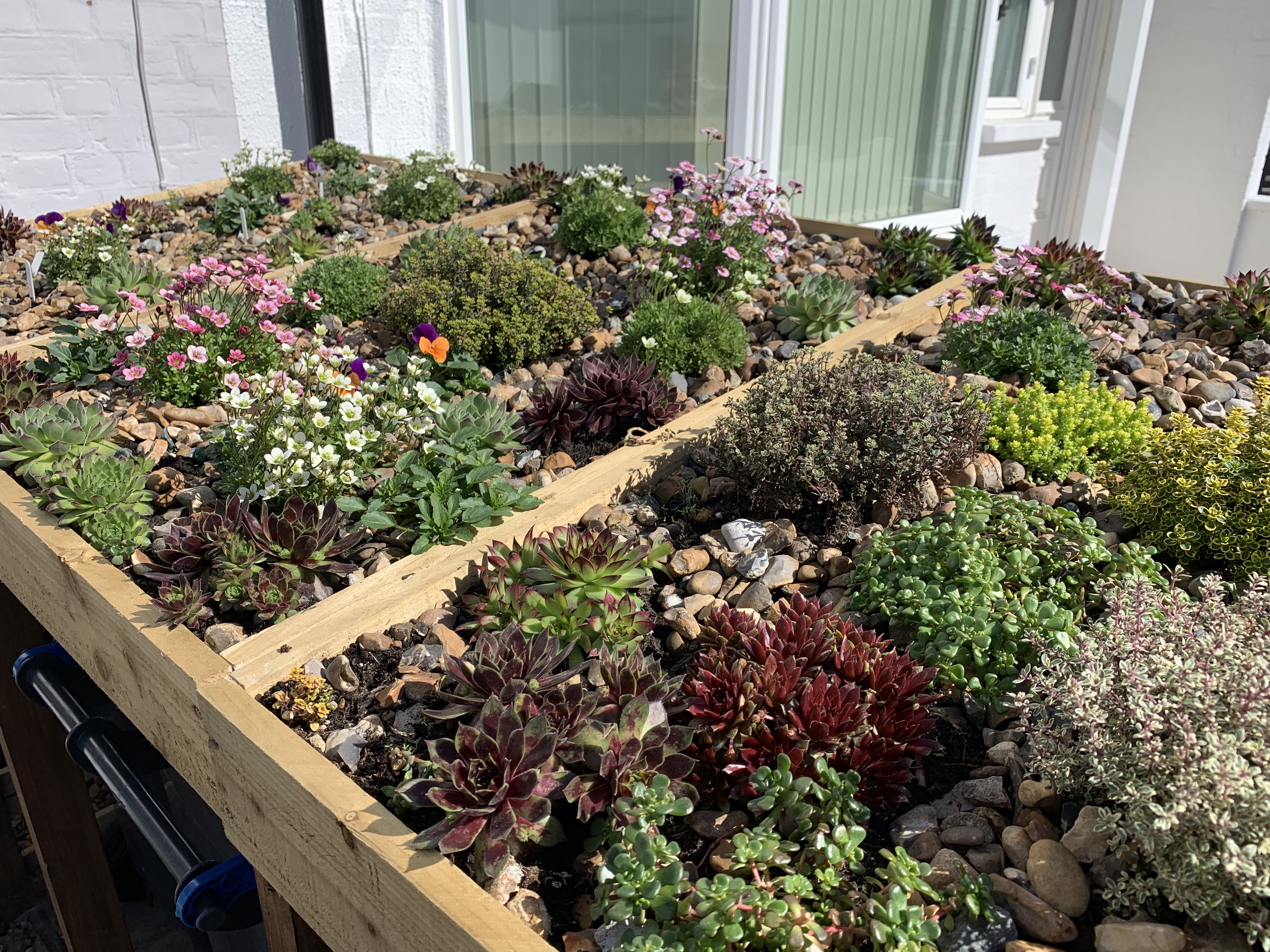Living roof bin store - how to build your own - Little Terraced House
