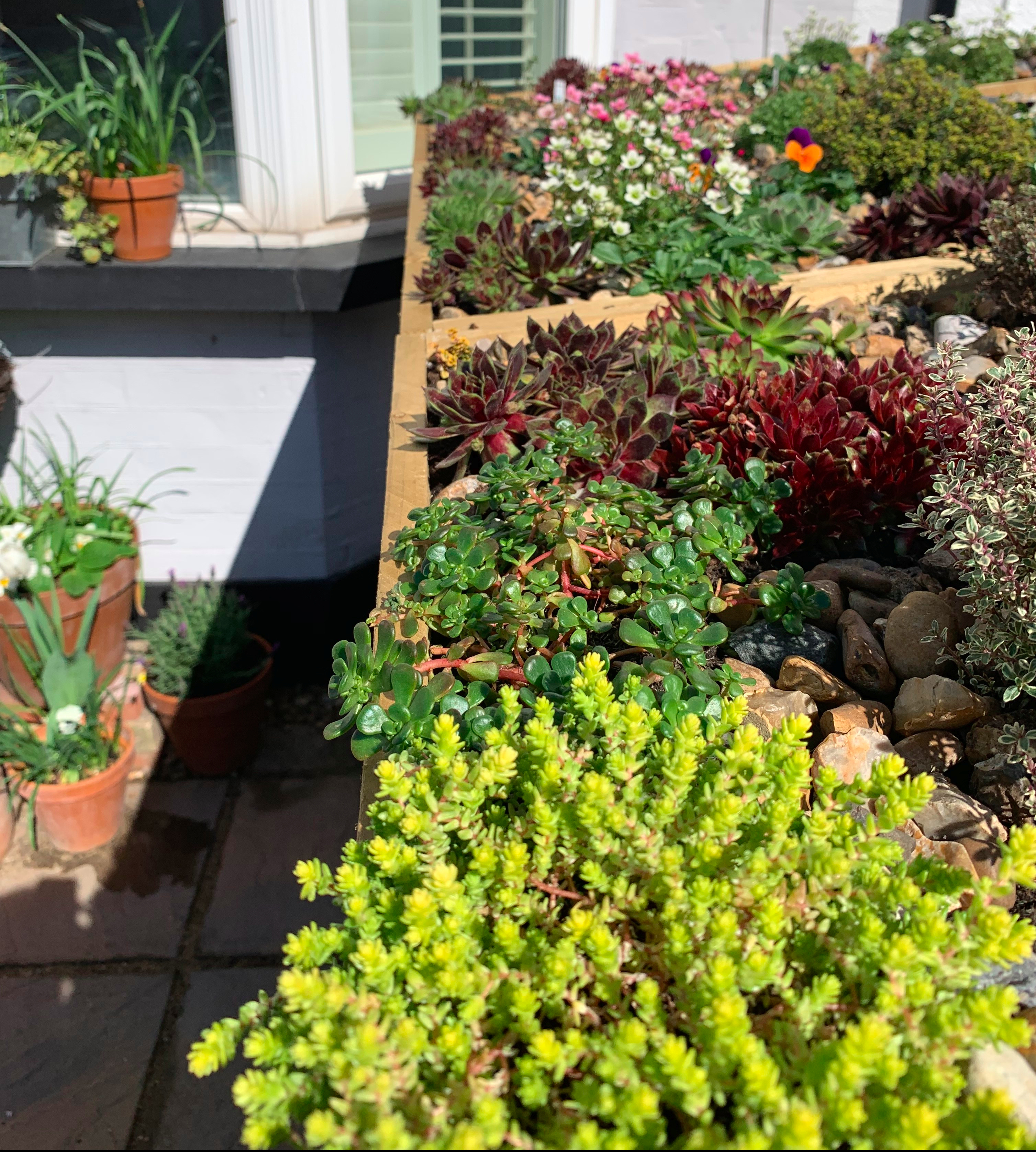 Living roof bin store - how to build your own - Little Terraced House
