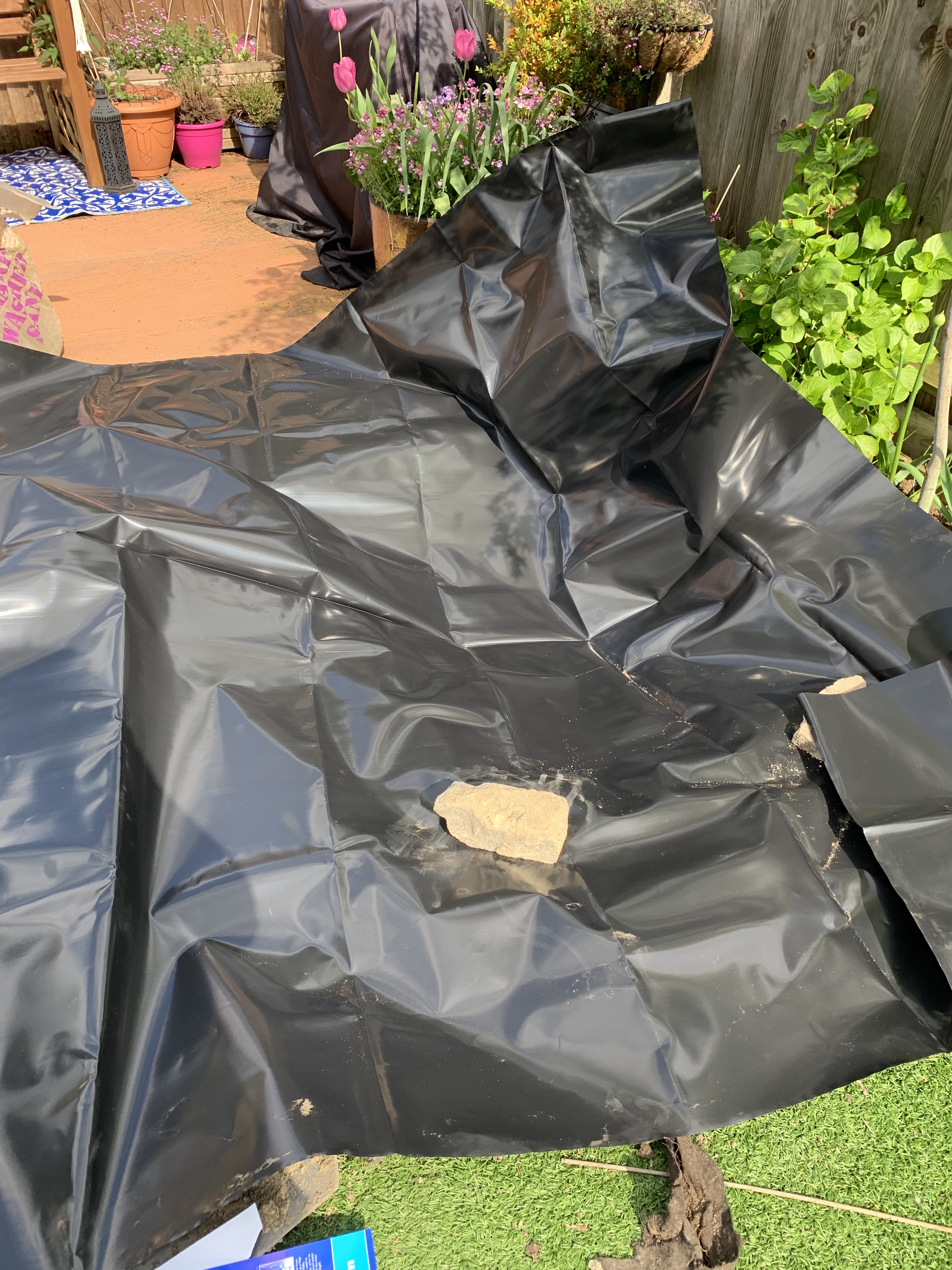DIY mini pond %how to build a pond %small pond %garden pond
