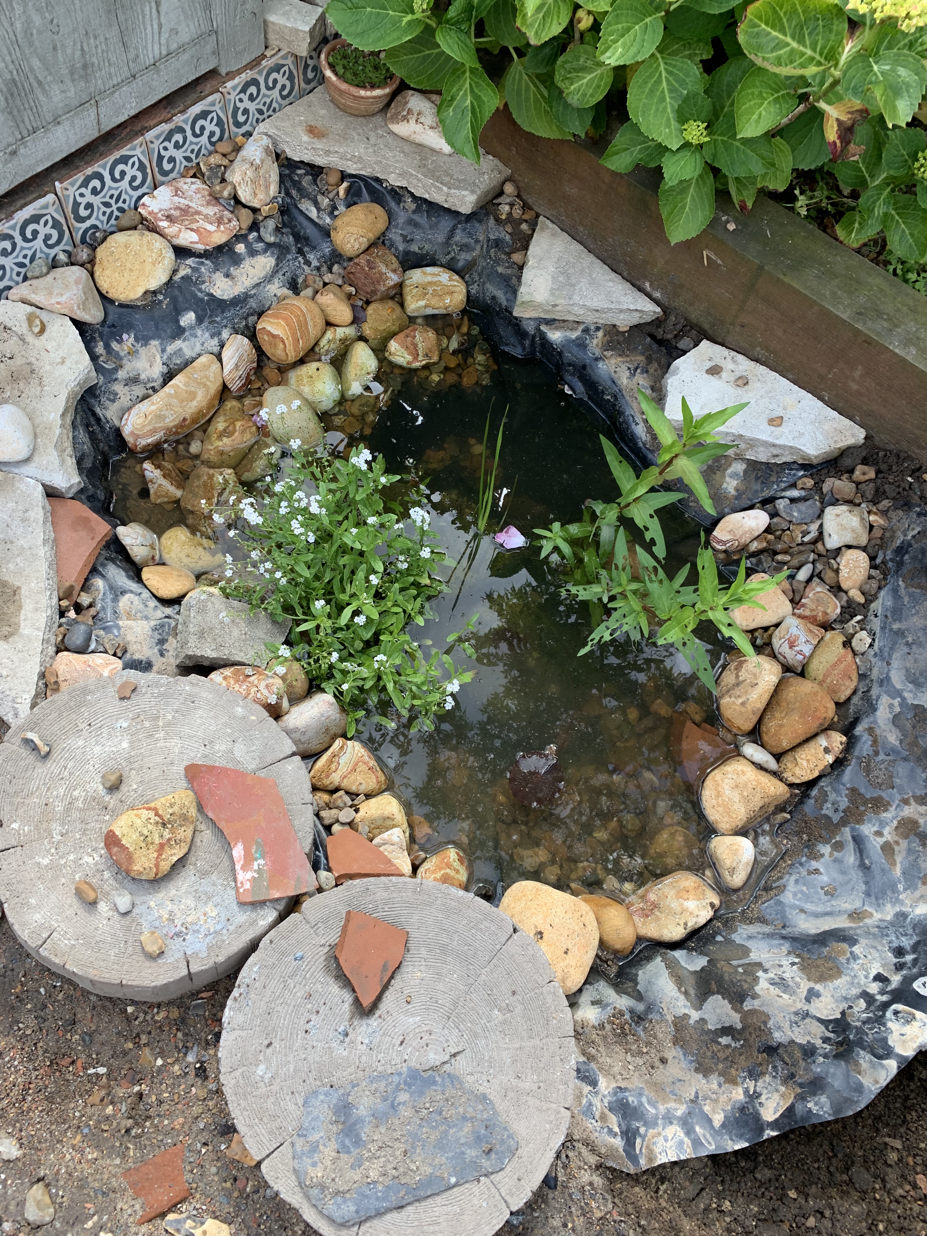 DIY mini pond %how to build a pond %small pond %garden pond