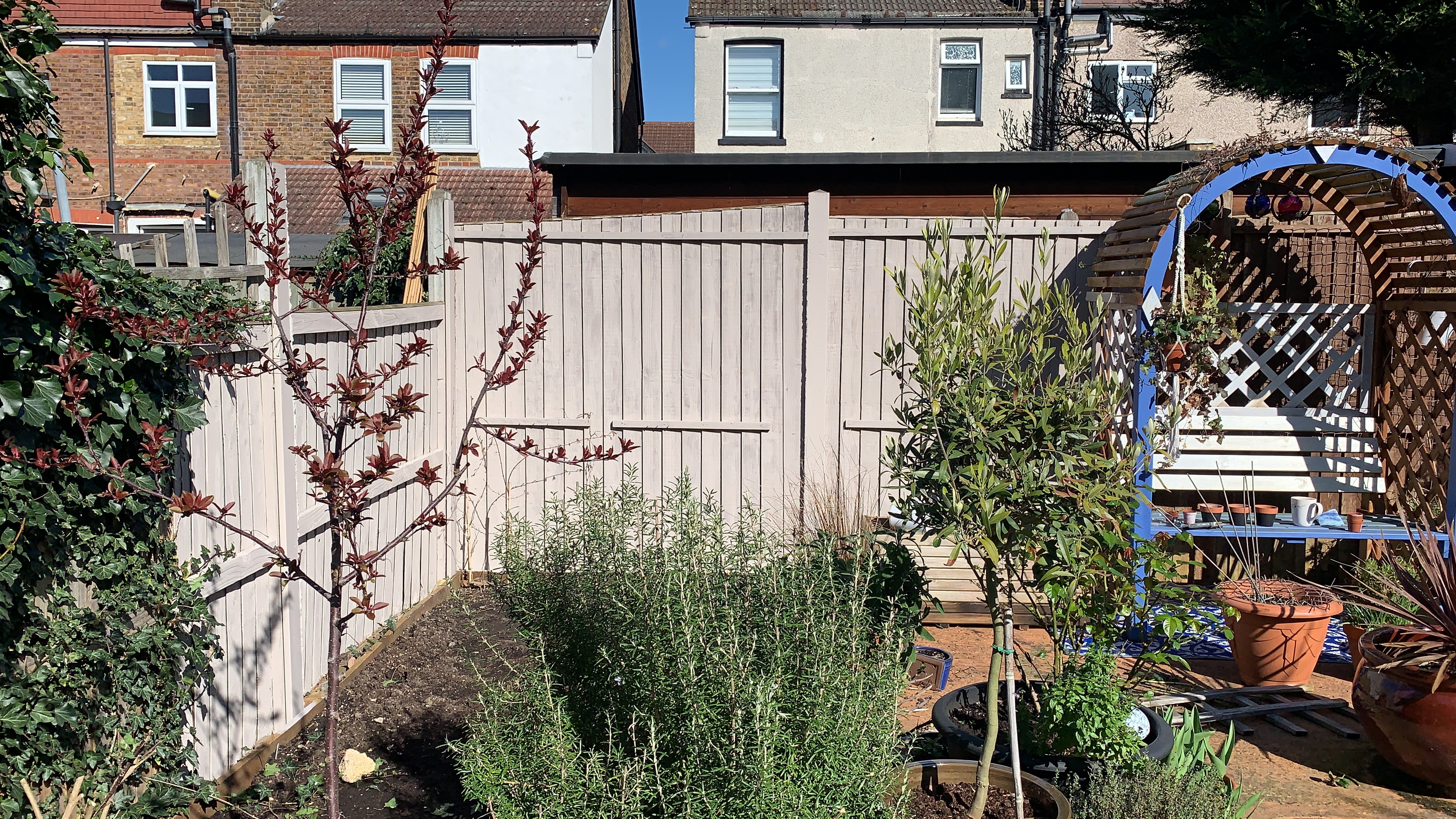 DIY living wall; living wall kit; how to make a living wall; green wall