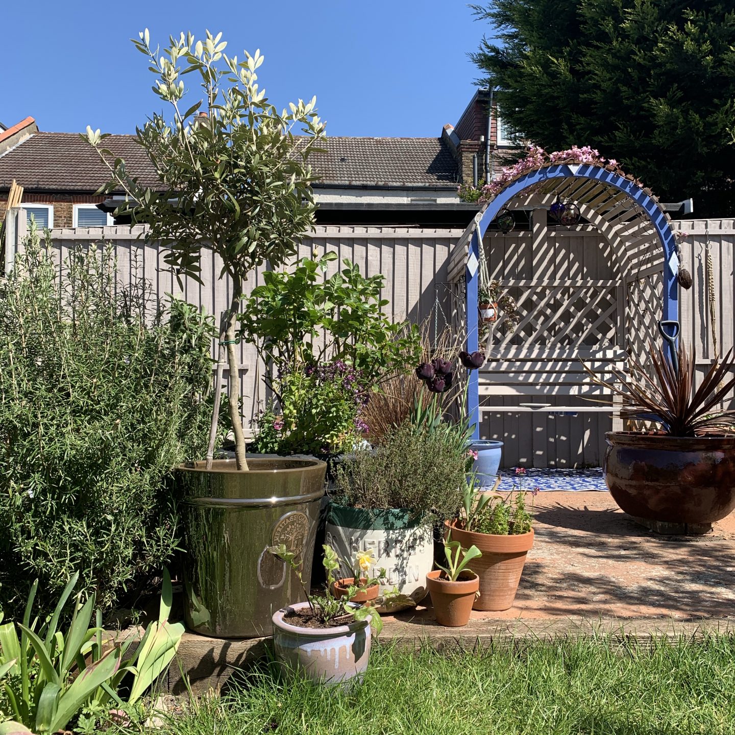 A beginner's guide to designing a garden - Little Terraced House